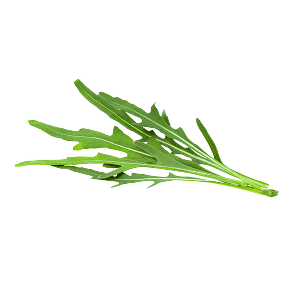 SPS Agro Products | Wild Rocket Seeds